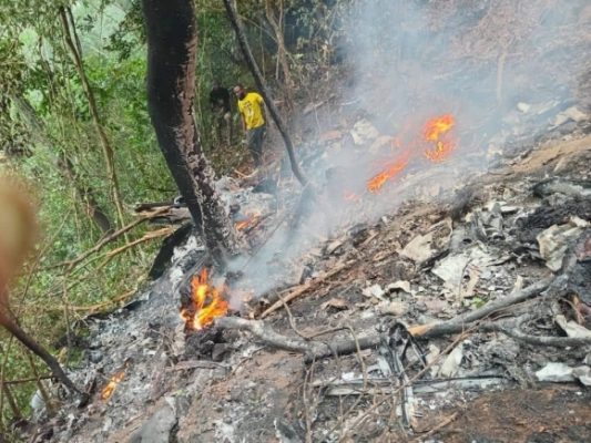 Investigation Finds Weather, Not Human Error, Caused Deadly Ghana ...